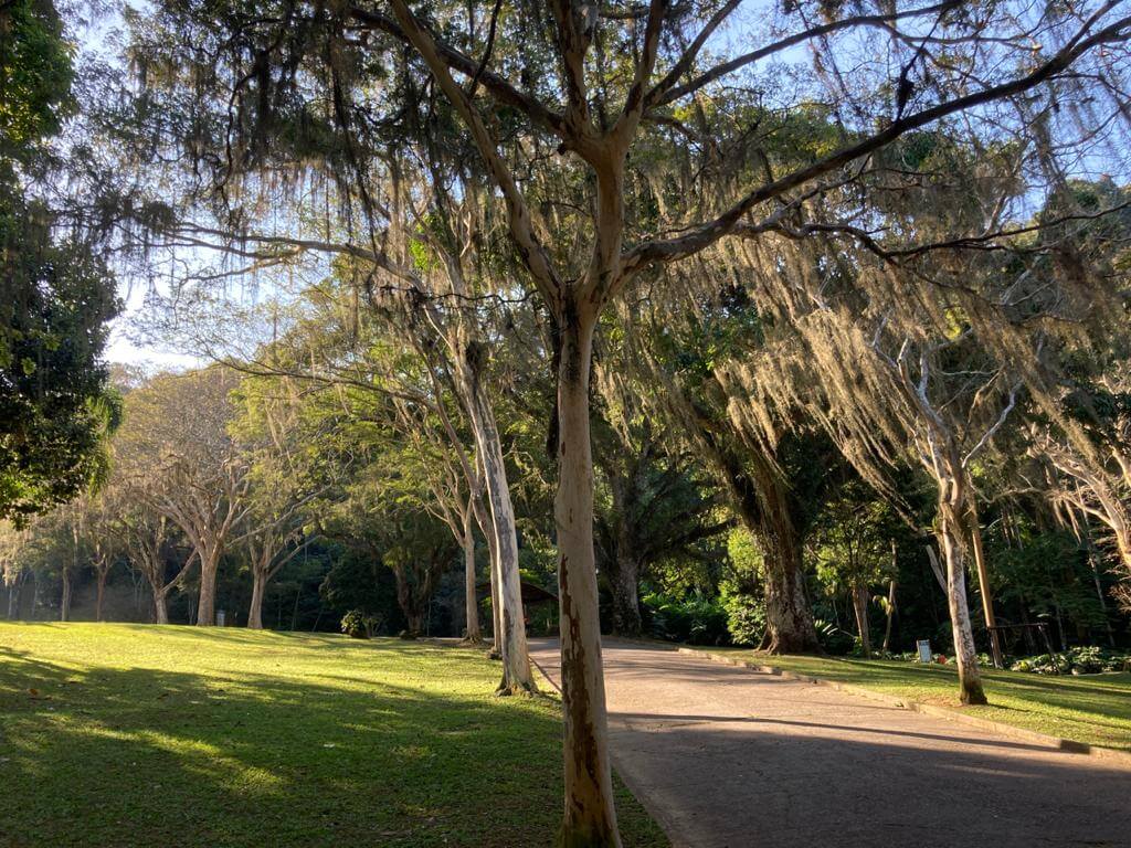 PARQUE DA CIDADE ESTÁ ENTRE OS MAIS BONITOS DO RIO | JB em Folhas